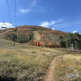 Armstrong Trail to Dawns Trail Loop, Utah - 3,304 Reviews, Map | AllTrails