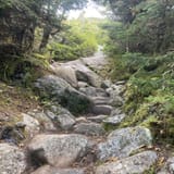 Caps Ridge Trail, New Hampshire - 1,984 Reviews, Map | AllTrails