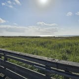 Long Beach Boardwalk and Discovery Trail Loop, Washington - 117 Reviews ...