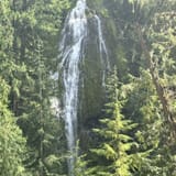Proxy Falls Loop, Oregon - 1,344 Reviews, Map | AllTrails