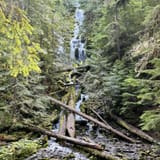 Proxy Falls Loop, Oregon - 1,344 Reviews, Map | AllTrails