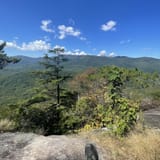 Looking Glass Rock Trail, North Carolina - 7,972 Reviews, Map | AllTrails