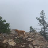 Mount Mark via Horne Lake Hustle, British Columbia, Canada - 683 ...