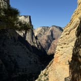 Observation Point via Stave Spring Trailhead, Utah - 485 Reviews, Map ...