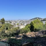 Mount Sutro Loop, California - 2,517 Reviews, Map | AllTrails
