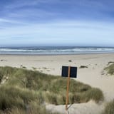 Bayocean Peninsula, Oregon - 708 Reviews, Map | AllTrails