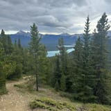 Allstones Lake Trail, Alberta, Canada - 1,461 Reviews, Map | AllTrails