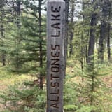 Allstones Lake Trail, Alberta, Canada - 1,461 Reviews, Map | AllTrails