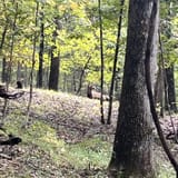 White Bison Loop, Missouri - 2,670 Reviews, Map | AllTrails