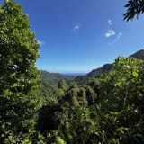 Cross Island Track and The Needle, Rarotonga, Cook Islands - 222 ...