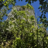 Cross Island Track and The Needle, Rarotonga, Cook Islands - 222 ...