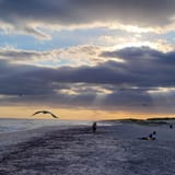 Jones Beach Bike Path and Ocean Parkway Path, New York - 420 Reviews ...