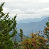 Mount Crawford via Davis Path Trail, New Hampshire - 1,193 Reviews, Map ...