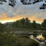 Rooster Comb Trail, New York - 1,420 Reviews, Map | AllTrails