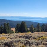 Galena Falls Trail, Nevada - 2,718 Reviews, Map | AllTrails