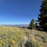 Mores Mountain Loop, Idaho - 533 Reviews, Map | AllTrails
