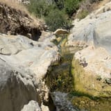 Cold Spring Loop, California - 2,548 Reviews, Map | AllTrails