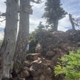 Mount Rose Trail, Washington - 1,387 Reviews, Map | AllTrails