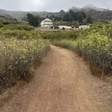 Gerbode Valley Loop, California - 529 Reviews, Map | AllTrails