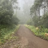 Gerbode Valley Loop, California - 529 Reviews, Map | AllTrails