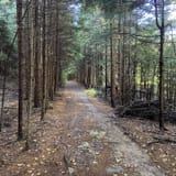 Seneca Creek Trail, West Virginia - 339 Reviews, Map | AllTrails