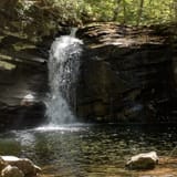 Seneca Creek Trail, West Virginia - 338 Reviews, Map | AllTrails