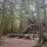 Point Defiance Park Outer Loop, Washington - 4,879 Reviews, Map | AllTrails