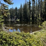 Summit Lake Trail, California - 740 Reviews, Map | AllTrails