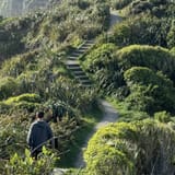 Mercer Bay Loop Track, Auckland, New Zealand - 796 Reviews, Map | AllTrails