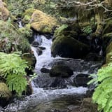 Watson Falls, Oregon - 1,303 Reviews, Map | AllTrails