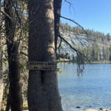 Weaver Lake Trail, California - 1,158 Reviews, Map | AllTrails
