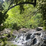 Judd Trail, Oahu, Hawaii - 3,023 Reviews, Map | AllTrails