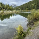 Mount Lorette Pond Trail, Alberta, Canada - 235 Reviews, Map | AllTrails