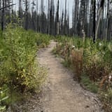 Morrell Falls National Recreation Trail, Montana - 660 Reviews, Map ...