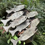 Quarry Rock Lookout from Deep Cove, British Columbia, Canada - 4,536 ...