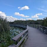 Anhinga Trail, Florida - 1,873 Reviews, Map | AllTrails