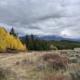 Meadow Loop and Ridge Trail, Colorado - 4,665 Reviews, Map | AllTrails