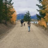 Meadow Loop and Ridge Trail, Colorado - 4,665 Reviews, Map | AllTrails