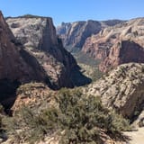 Observation Point via Stave Spring Trailhead, Utah - 485 Reviews, Map ...