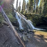 Grotto Falls Trail, Montana - 920 Reviews, Map | AllTrails