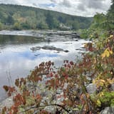 Ferncliff Trail, Pennsylvania - 1,669 Reviews, Map | AllTrails