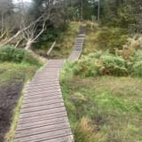 Raven Crag, Cumbria, England - 767 Reviews, Map | AllTrails