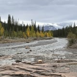 Crescent Falls, Alberta, Canada - 312 Reviews, Map | AllTrails