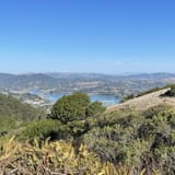 Gerbode Valley Loop, California - 529 Reviews, Map | AllTrails