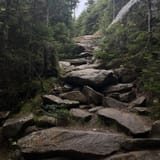 Beaver Brook Trail to Mount Moosilauke, New Hampshire - 1,401 Reviews ...