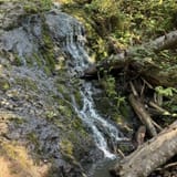 Mima Falls Loop, Washington - 1,766 Reviews, Map | AllTrails