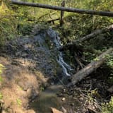 Mima Falls Loop, Washington - 1,766 Reviews, Map | AllTrails