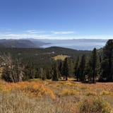 Tamarack Peak Loop, Nevada - 1,138 Reviews, Map | AllTrails