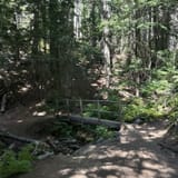 Mount Kit Carson Trail, Washington - 1,052 Reviews, Map | AllTrails