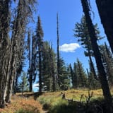 Mount Kit Carson Trail, Washington - 1,052 Reviews, Map | AllTrails